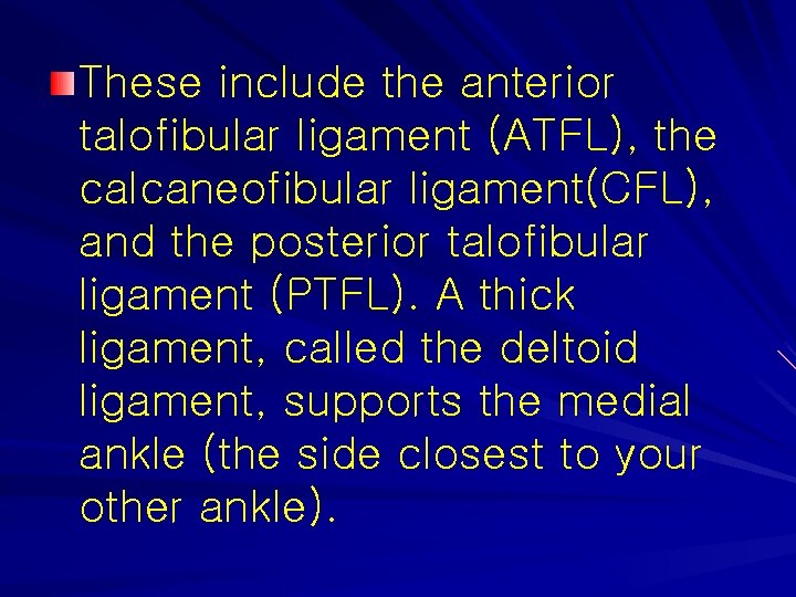 Ankle Bones and Joints The ankle joint is
