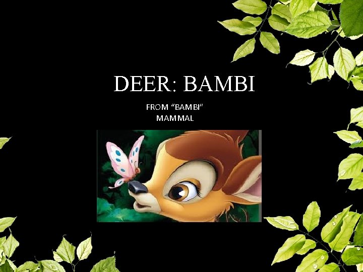 CARTOON ZOOLOGY TOPANGA FUCCI FEATURED ANIMALS Horse Alligator