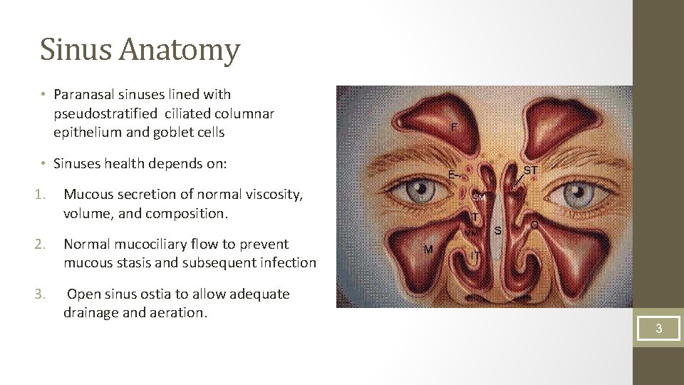 Acute Rhinosinusitis ARS Presented by Mohammad AlRamadneh Terminology