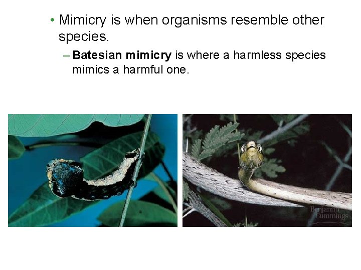 Introduction What is a Community A community is