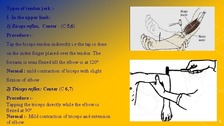 Reflexes Practical Lab CNS Module By Prof Sherif