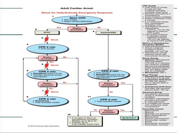 Cardio Pulmonary Resuscitation Death Prior to the advent