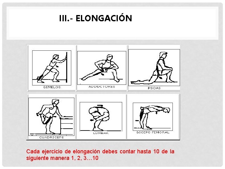 EDUCACIN FSICA Y SALUD Objetivo fomentar y adquirir