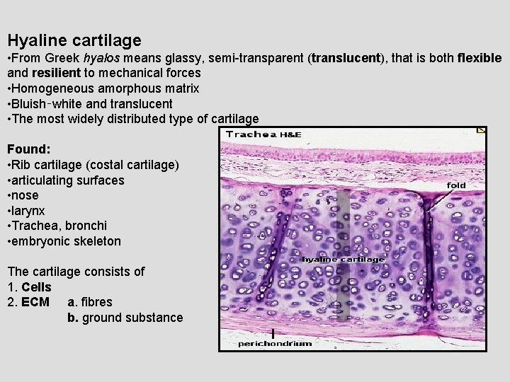 Cartilage Quit Slide 1 Main menu Slide menu