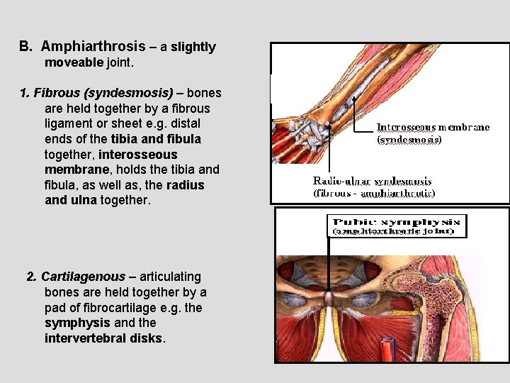 Cartilage Quit Slide 1 Main menu Slide menu