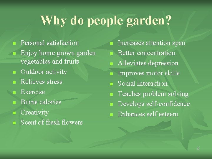 The Benefits of Accessible Gardening The Healing Reward