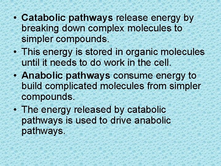 AN INTRODUCTION TO METABOLISM The chemistry of life