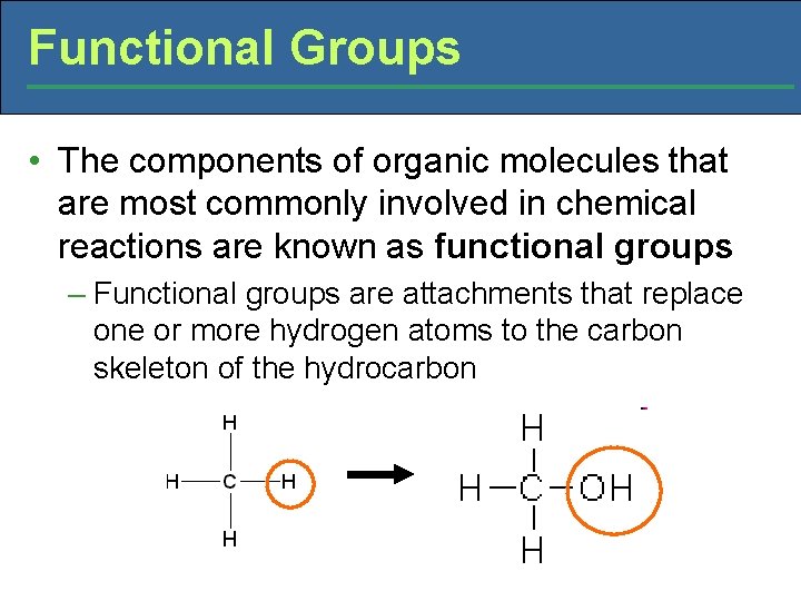 Carbon and its Related Functional Groups Reference Campbell