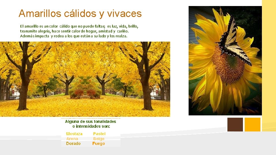 PSICOLOGA DEL COLOR Elaborado por Jennifer Branford B