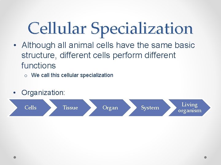 Mid Year Review Outline Cells Organisation of Matter