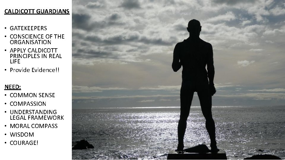 CALDICOTT GUARDIAN Ethical Decision Making Conference Chairs introduction