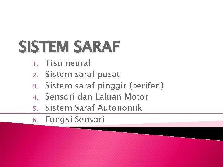 SISTEM SARAF 1 2 3 4 5 6