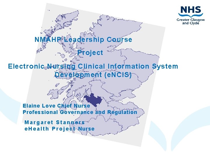 NMAHP Leadership Course Project Electronic Nursing Clinical Information