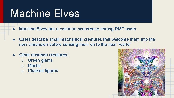 The Spirit Molecule Ian Shenk Health 1050 History