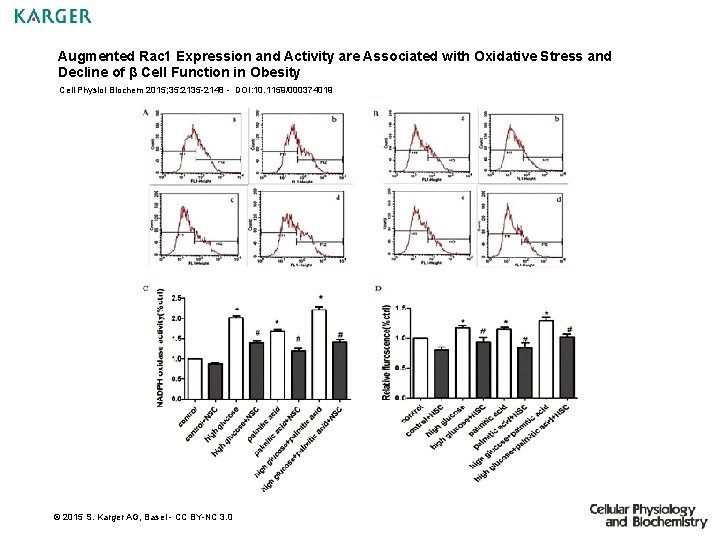 Augmented Rac 1 Expression and Activity are Associated