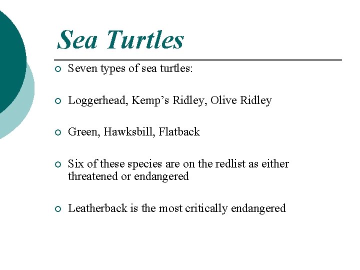 Sea Turtles Leatherback Sea Turtles Seven types of