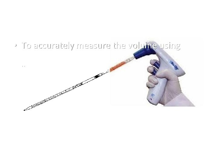 Factors Affecting Enzyme Activity Biology Lab Presented by