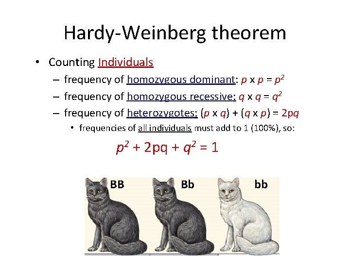 5 Agents of evolutionary change Mutation Gene Flow