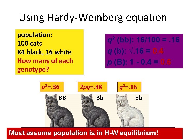 5 Agents of evolutionary change Mutation Gene Flow