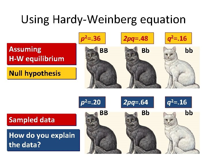 5 Agents of evolutionary change Mutation Gene Flow