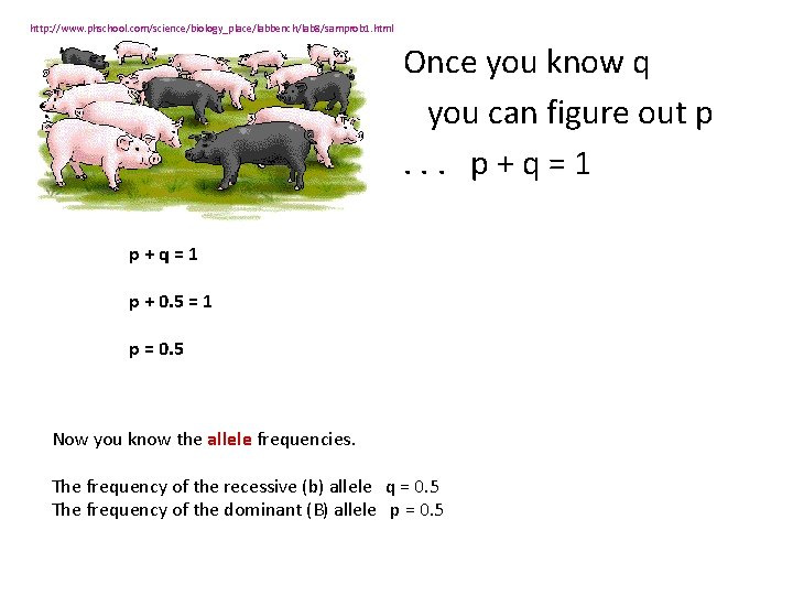 5 Agents of evolutionary change Mutation Gene Flow