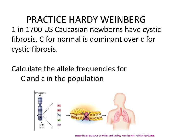 5 Agents of evolutionary change Mutation Gene Flow