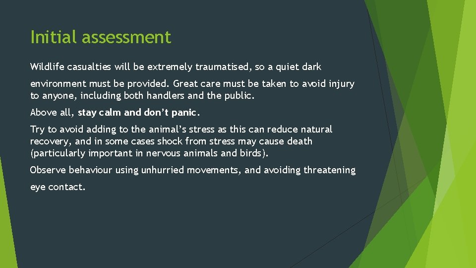 Wildlife Rehablilitation Why might an animal need rehabilitation