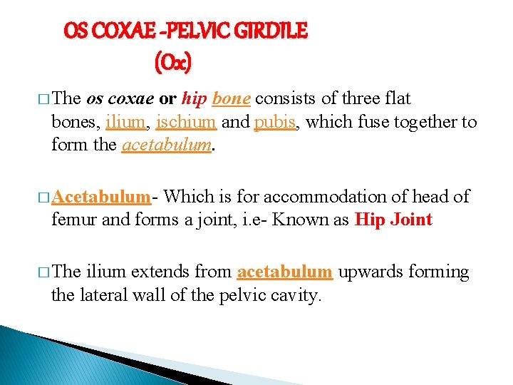 VETERINAY ANATOMY UNIT 6 TOPICDetails Description of Bones