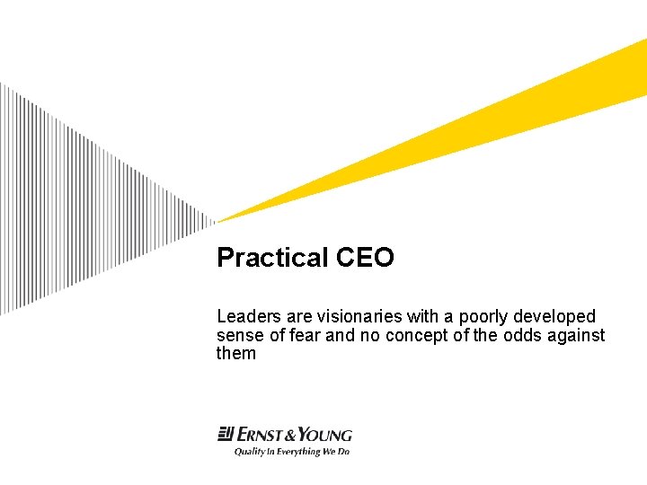 Practical CEO Leaders are visionaries with a poorly