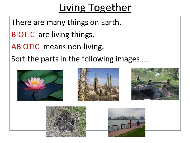 Ecology The vocabulary is presented in the following