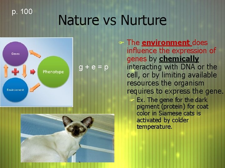 p 100 Nature vs Nurture Does the environment