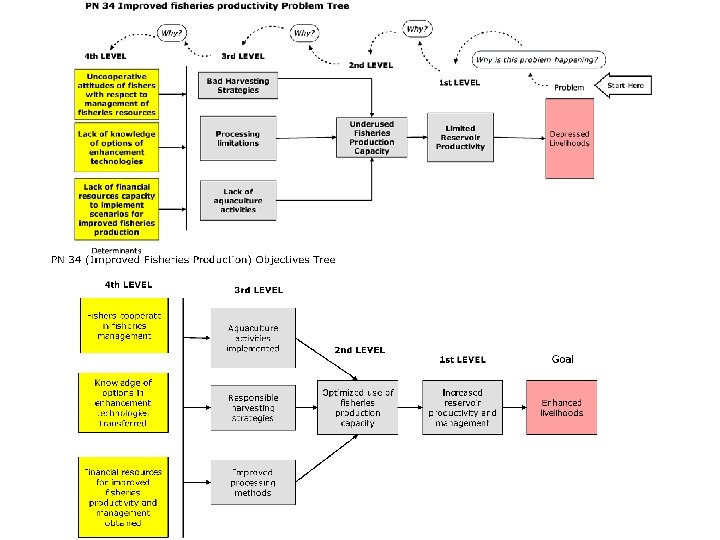 Impact pathways for the BFPs Boru Douthwaite BFPImpact