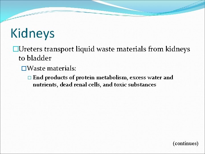 Chapter 19 Diet and Renal Disease Objectives Describe