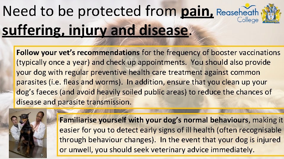 How do the Five Welfare Needs relate to