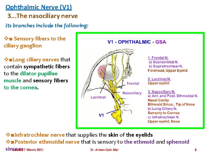 PERIPHERAL NERVOUS SYSTEM TRIGEMINAL NERVE Dr Aiman Q