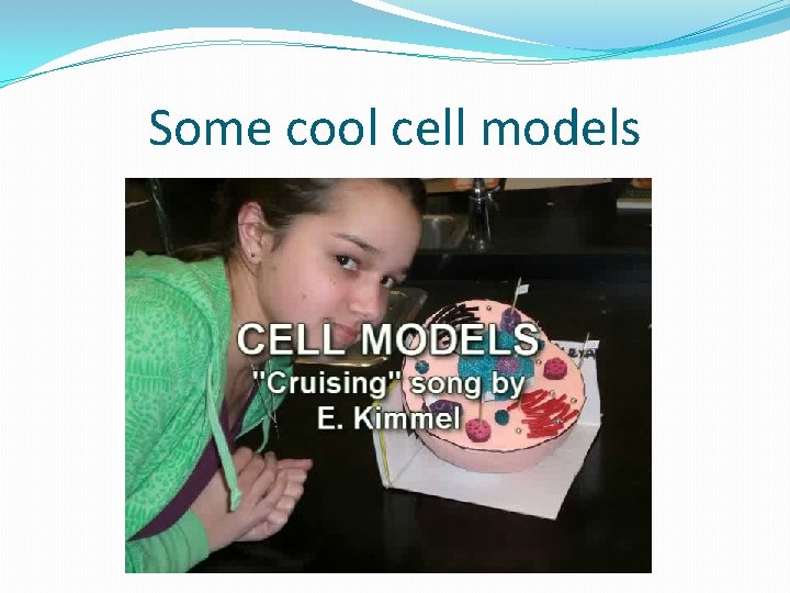 Chapter 16 Section 1 The World of Cells