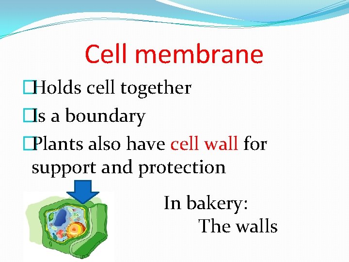 Chapter 16 Section 1 The World of Cells