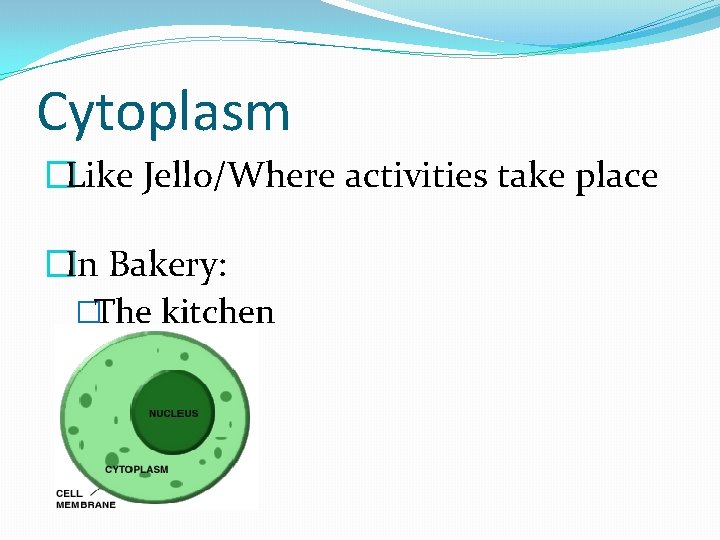 Chapter 16 Section 1 The World of Cells