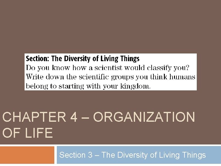 CHAPTER 4 ORGANIZATION OF LIFE Section 3 The