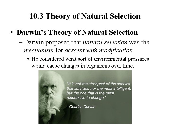 UNIT 6 Evolution and Classification Chapter 10 Principles