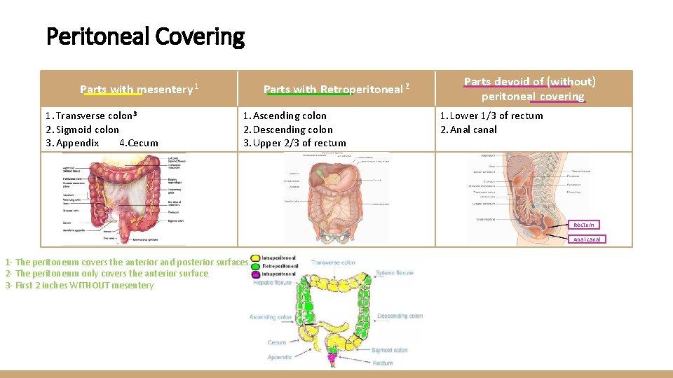 Objectives At the end of the lecture students