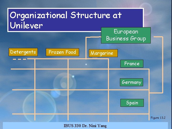 The Organization of International Business Organizational Architecture and