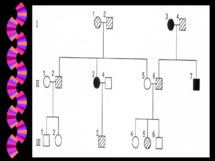 PEDIGREE Diagram of relationships in a family Representations