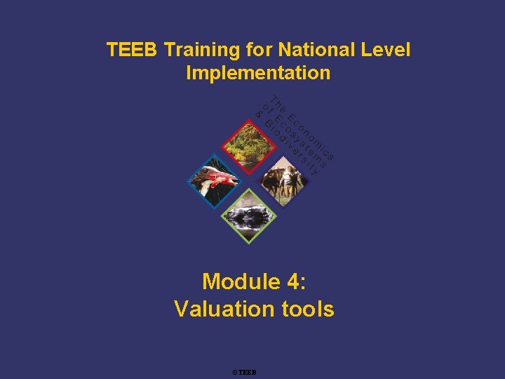 TEEB Training for National Level Implementation Module 4