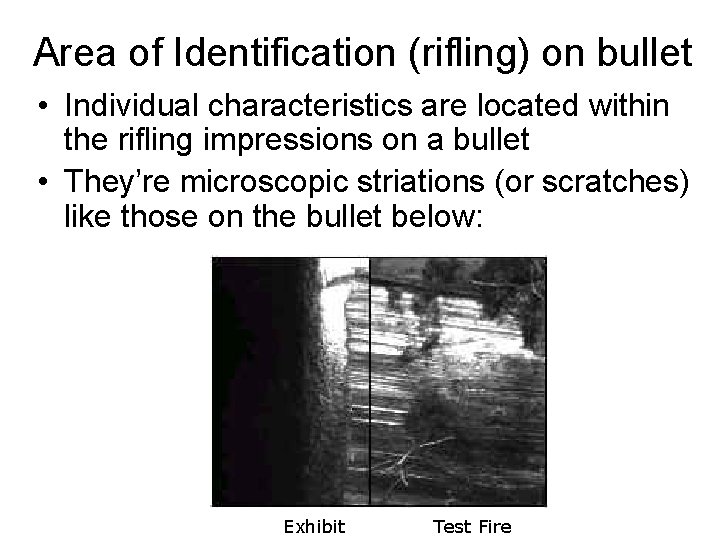 Firearms Ballistics Gunshot Wounds Part I STEM Firearms