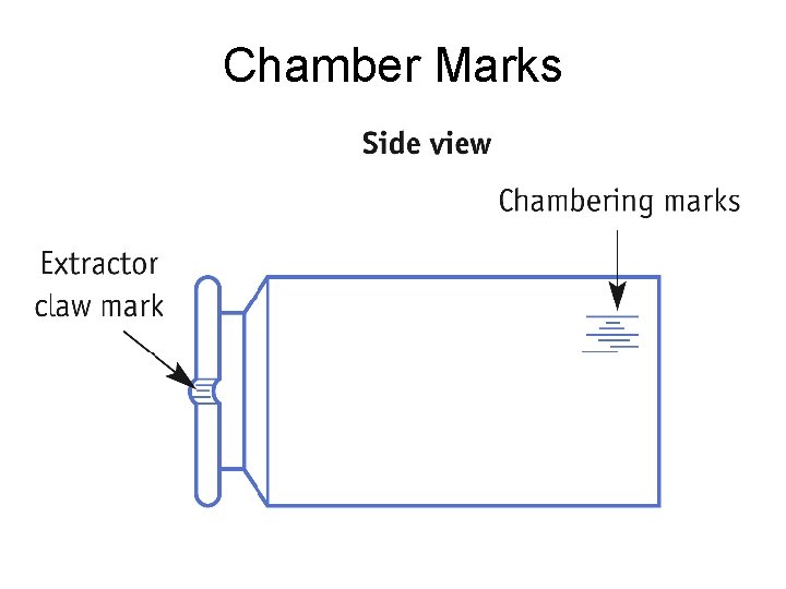 Firearms Ballistics Gunshot Wounds Part I STEM Firearms