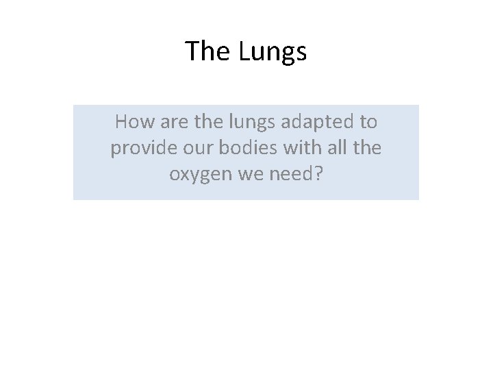 The Lungs How are the lungs adapted to