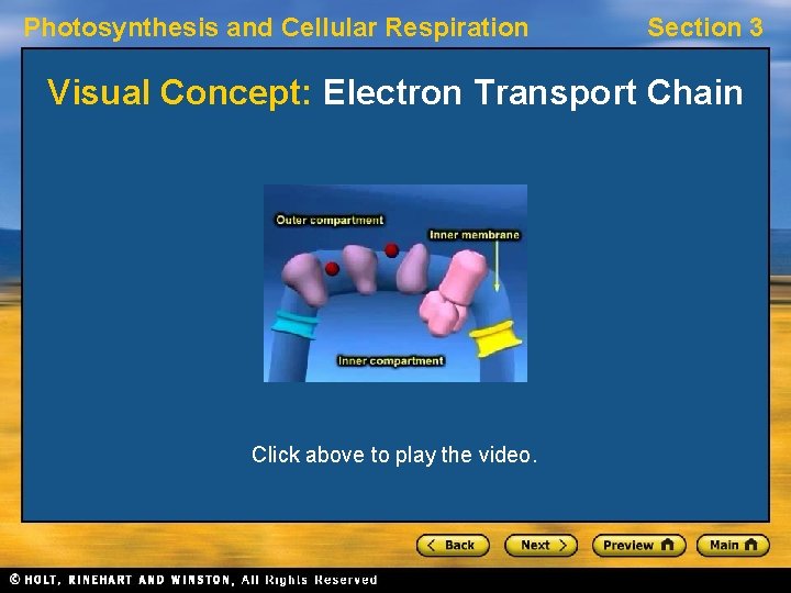 Photosynthesis and Cellular Respiration Section 3 Cellular Respiration