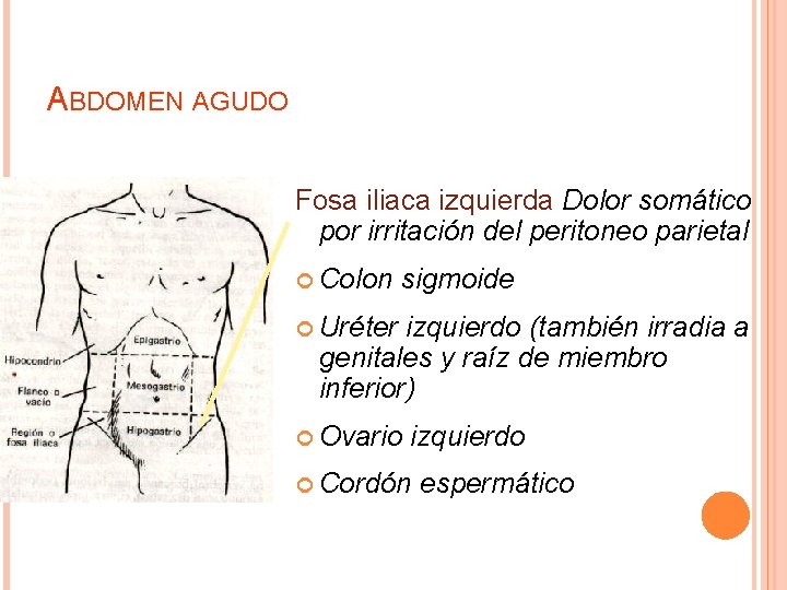 ABDOMEN AGUDO TRAUMTICO VASCULAR Y HEMORRGICO Dra Mar