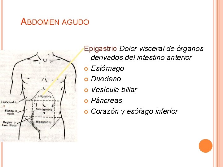 ABDOMEN AGUDO TRAUMTICO VASCULAR Y HEMORRGICO Dra Mar